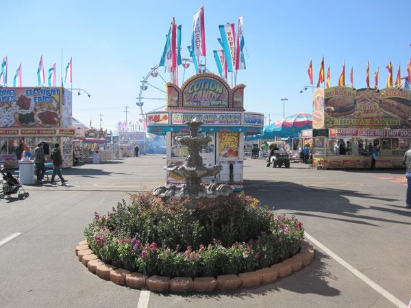 Signs By Tomorrow of Royal Oak - Recent Projects