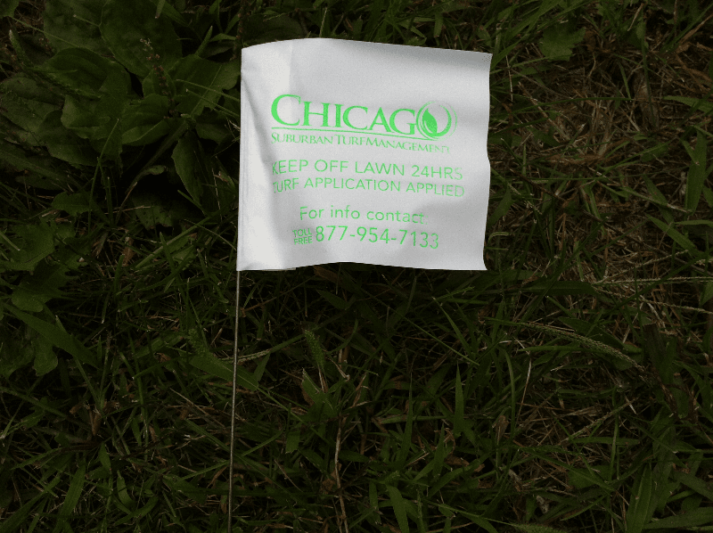 Assorted Signs and Graphics