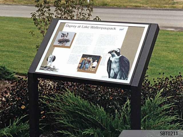 Signs By Tomorrow Elgin | Signs, Graphics and Displays