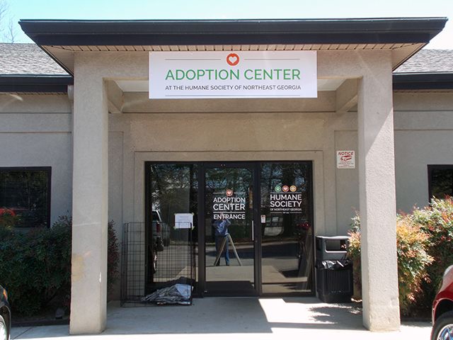 Vinyl Graphics in [city] | Signs By Tomorrow [centername]